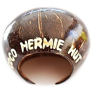 Vicien Florida Shells and Gifts Large Hermie Hut Shelter for Large Hermit Crabs 4" Natural Gourd