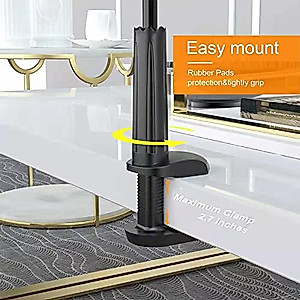 Phone Stand for Recording, 31 Inch Gooseneck Overhead Phone Mount with LED Light for Desk, 360° Rotation with Selfie Stands and Phone Holders for Video Recording, Live Streaming, YouTube Tiktok