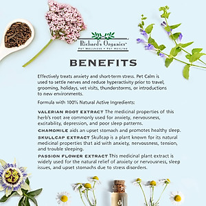 Richard’s Organics Pet Calm, 4 oz. Bottle – Natural Cat and Dog Anxiety Relief – 100% Natural Pet Stress Relief – Drug-Free Calming Drops, Settles Nerves and Reduces Hyperactivity