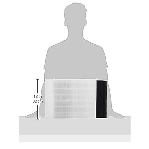 Genuine Winix 115115 Replacement Filter A for C535, 5300-2, P300, 5300, White/Black