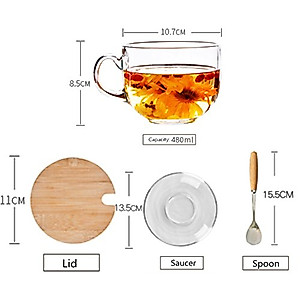 16oz Morning Mug Clear Glass Tea Cup Coffee Mug with Bamboo Lid and Saucer,Spoon