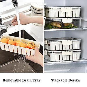 2Pack Divided Veggie Tray with Lid and Handle 4 Compartment Serving Tray with Dividers Portable Travel Snack Storage Containers Stackable Snackle Box Charcuterie Container for Fruit,Vegetable,Salad