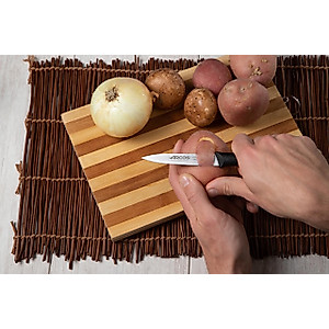 ARCOS 3 Pieces Paring Knife Set. 3 Peeling Knives of Stainless Steel and Ergonomic Polypropylene Handle for Cutting Fruits, Vegetables and Tubers. Series Nova. Color Black