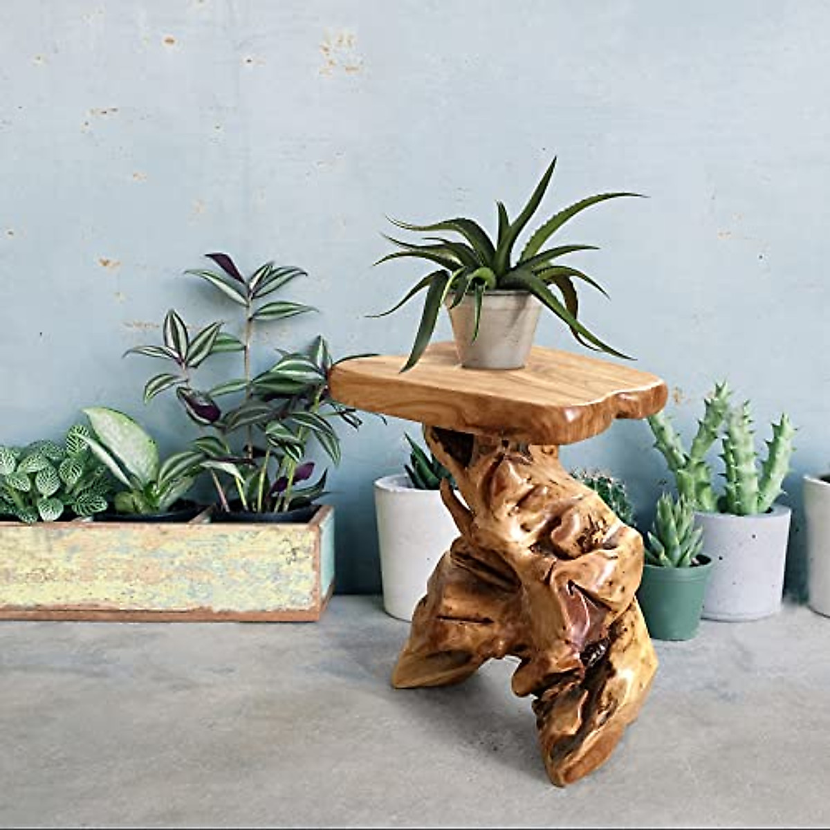 Warmaxx Natural Irregular Shape Tree Stump End Table Plant Stand, 14"x13"x18"H Solid Cedar Wood Outdoor Rustic Sit Foot Stools Live Edge Coffee Side Table for Living Room Bedroom Bath Outdoor Garden