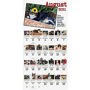 Bad Cat Wall Calendar 2021