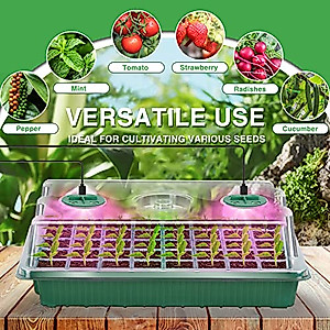 YAUNGEL Seed Starter Tray with Grow Light, Seed Starter Kit with Timing Controller Adjustable Brightness,80 Cells Seed Starter Tray for Indoor Planting with Humidity Domes Heightened Lids 2 Pack