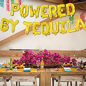Wonmelody Margarita Birthday Party Decorations Powered by Tequila Balloon Banner Margs and Matrimony Bachelorette Decor Lemon Balloon Gimme One Magrarita Balloon Mexican Fiesta Bridal Shower Decor