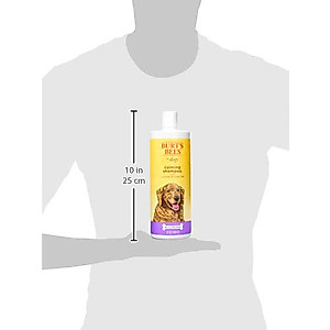 Burt's Bees for Dogs Natural Calming Dog Shampoo | Soothes, Calms & Revitalizes Dog's Coats | Dog Shampoos Made with Lavender and Green Tea | pH Balanced for Puppies - Made in USA, 32 Oz