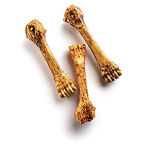 Jack&Pup 11" Shin Bones for Large Dogs | Roasted, Savory, Large Dog Bones for Aggressive Chewers (3 Bones)