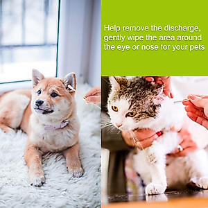 200 Pieces 6 Inches Buds for Dog Long Ear Swab with Wooden Handle for Pet