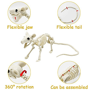 LUKBERA Halloween Animal Skeleton Decorations, Dog Animal Bones Skeletons with Posable Joints for Haunted Houses, Graveyard Scenes, Halloween Party Décor