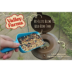 Valley Farms Hi-Flite Wild Bird Food for Outside Feeders- Best Value Economy Wild Bird Seed for All Species of Birds with Black Oil Sunflower, 5 LBS 2-Pack (10 LBS Total)