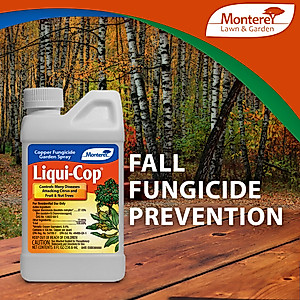 Monterey Liqui-Cop Concentrate