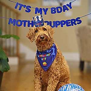 Odi Style Dog Birthday Party Supplies - Dog Birthday Bandana Set - Birthday Boy Bandana for Medium, Large Dogs, Party Hat, Crown and Cute Dog Birthday Banner with It's My Birthday Mother Puppers Sign