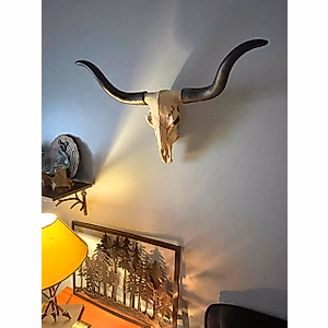 Long Horn Cow Skull Wall Hanging Longhorn Steer