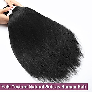 Easy Braid Pre stretched Braiding Hair 14 Inch 3 Packs Black (14 Inch,1B#)