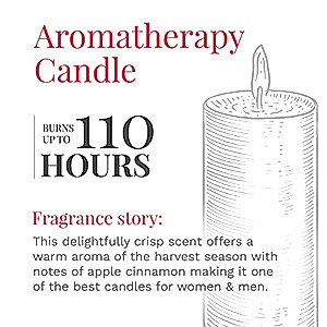 Candle-lite Scented, Apple Cinnamon Crisp Fragrance, One 18 oz. Single-Wick Aromatherapy Candle with 110 Hours of Burn Time, Red Color