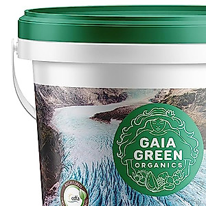 Gaia Green Glacial Rock Dust, 2 kg