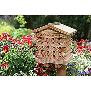 Wildlife World Interactive Wooden Bee House - Pollinator Bee Management System