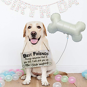 Dog Bone Foil Balloon Pet Bone Mylar Balloons for Baby Shower Party Decoration 6pcs