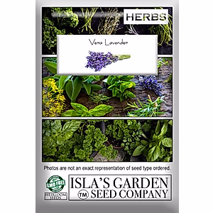 English "Vera" Lavender Seeds for Planting, 1000+ Seeds Per Packet, (Isla's Garden Seeds), Non GMO & Heirloom Seeds, Botanical Name: Lavandula angustifolia, Great Herb Garden Gift