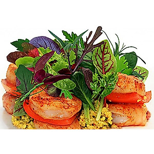 This is a Mix!!! 2000+ Seeds Microgreens Mix 40 Varieties - About 1 oz. - Superfood Seeds Heirloom Non-GMO Delicious Easy to Grow! from USA Fresh and Tested Seeds!