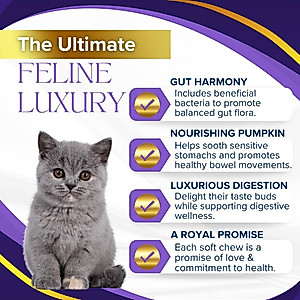 Royal Whiskers Digestive Delights - Probiotic Soft Chews for Cats, Enriched with Pumpkin & Probiotic Blend for Ultimate Gut Health Formulated Specifically for Felines, 90 Premium Chews, Made in USA