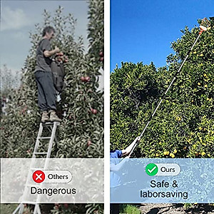 Walensee 8FT Fruit Picker, Adjustable Fruits Picker Tool with Lightweight Stainless Steel Pole and Big Basket, Fruit Catcher Equipment Tree Picker for Apples Mango Pear Orange Avocados Fruit Picking