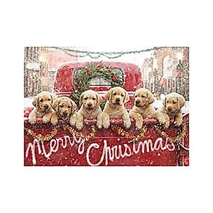 Avanti Press Christmas Cards, All The Love Your Heart Can Hold, 10 Count (701240)