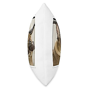 Big Floppa Meme tee for men women kids youth girls Big Floppa Meme Cute AKA Gregory Funny Ears Throw Pillow, 16x16, Multicolor