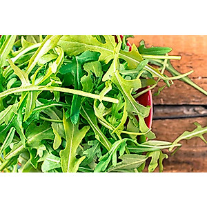 "Roquette Arugula" Seeds for Planting, 1000+ Heirloom Seeds Per Packet, Non GMO Seeds, (Isla's Garden Seeds), Botanical Name: Eruca vesicaria, Great Home Garden Gift