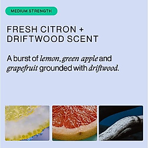 OffCourt Sulfate-Free Body Wash for Men & Women - Non-Drying Exfoliator with Glycolic & Lactic Acids Leaves Skin Fresh & Smooth with Fresh Citrus and Driftwood Scent, 3.4 Fl. Oz (Pack of 1)