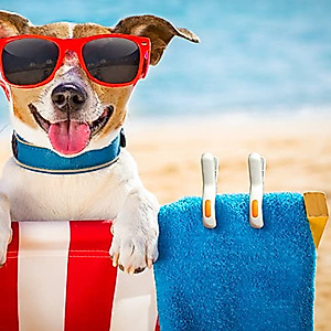 Plastic Beach Towel Clips Clothespins - Coideal 6 Pcs Large Pool Chair Clip Holder Cute Windproof Clothes Pins Quilt Drying Clamp for Lounge Cruise