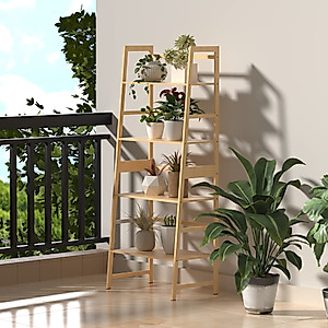 WTZ Bookshelf Book Shelf, Bookcase Storage Shelves Book case, Ladder Shelf for Bedroom, Living Room, Office MC-801(Natural)