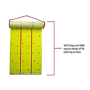 Giant Fly Glue Trap by Catchmaster - 3 Packs 30 Feet Each Pre-Baited, Ready to Use Indoors & Outdoors. Bug Insect Infestation Sticky Adhesive Scented Green Color Barn Paper Sheet Disposable Non-Toxic