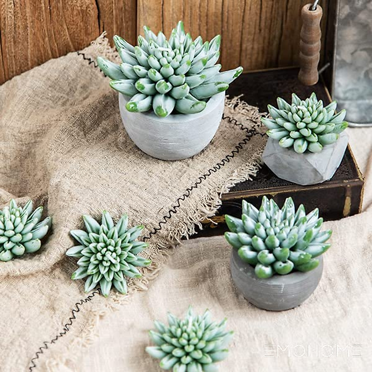 EMOHOME Citronella Aroma Candles, Succulent Candle Set with Terracotta Pots for Home and Party Decor, Festival Presents, Birthday Gifts.Gift.