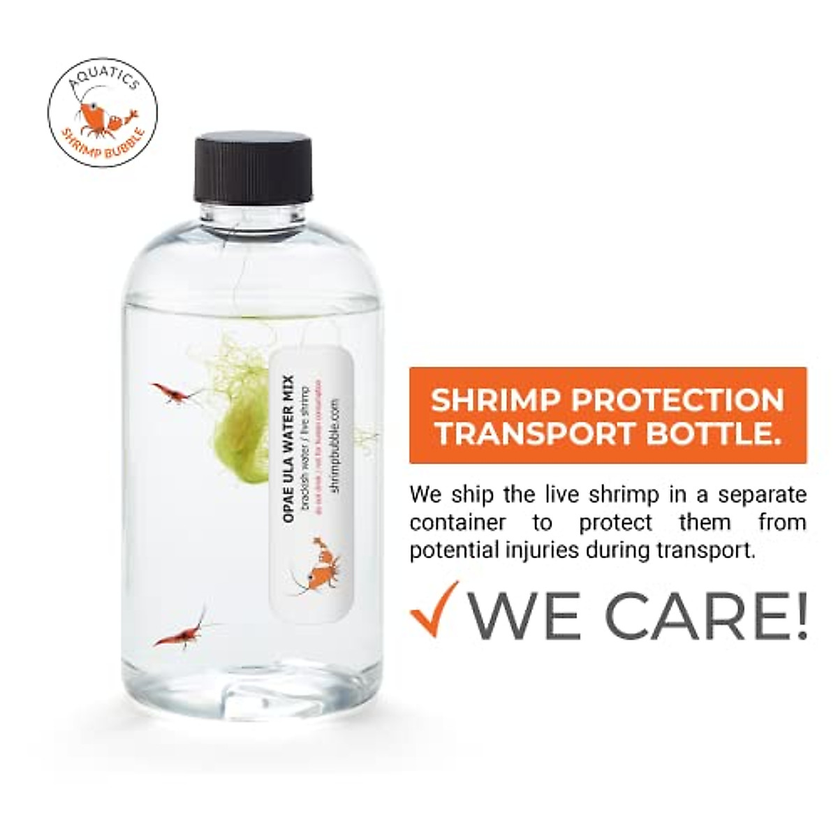 Shrimp Bubble Self-Sustaining Ecosystem - Natural. Contains Live Opae Ula Shrimp