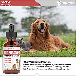 Dog UTI Treatment | Cat UTI Medicine | Cat UTI Remedy | Cranberry Supplement for Dogs | Pumpkin for Cats | Dog UTI | Cat UTI | Cranberry for Dogs | Cat Urinary Tract Infection Treatment | 1 fl oz