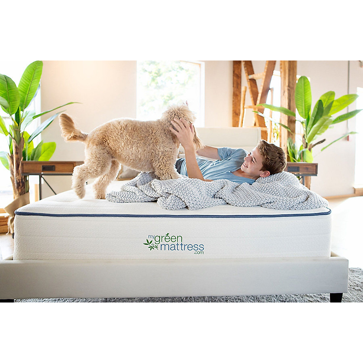 Kiwi Organic Mattress (Full)