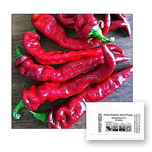 30+ Italian Jimmy Nardello's Sweet 12" Long Pepper Seeds, Heirloom Non-GMO, Prolific, Juicy, Delicious! from USA