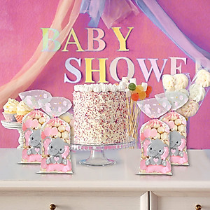 100 Pieces Baby Shower Cellophane Treat Bags Cute Candy Bags Baby Shower Favors Gender Reveal Plastic Goodie Storage Bags with 100 Twist Ties for Baby Shower Birthday Party Supplies (Pink)