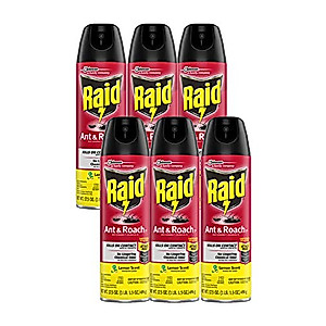 Raid Ant & Roach Killer Lemon Scent 17.5 Ounce (Pack of 6)