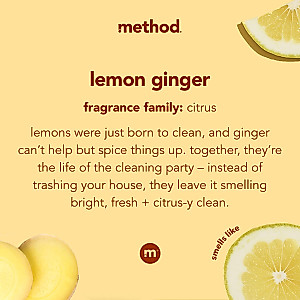 Method Hardwood Floor Cleaner Squirt + Mop Bottle, Lemon Ginger, For Sealed Hardwood and Laminate Floors, 25 Fl Oz (Pack of 6)