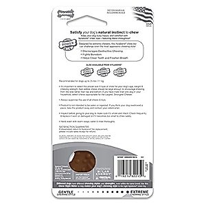 Nylabone Dura Chew Power Chew Textured Bone Flavor Medley Small/Regular (1 Count)