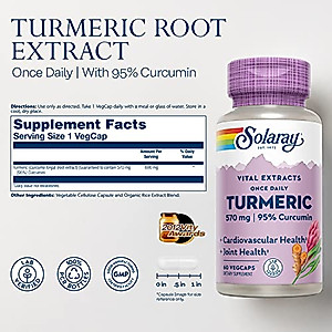 SOLARAY Turmeric Root Extract 600mg | One Daily | Healthy Joints, Cardiovascular System Support | Guaranteed Potency | 60 VegCaps