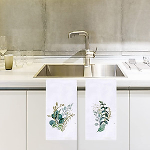 Botanical Eucalyptus Kitchen Dish Towel 18 x 28 Inch, Seasonal Spring Summer Greenery Tea Towels Dish Cloth for Cooking Baking Set of 2