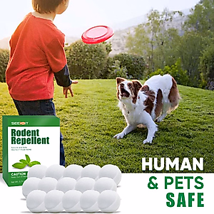 SEEKBIT 15 Pack White Rodent Repellent Peppermint Oil to Repels Mice and Rats Spider and Other Rodents, Rat Repellent for Home Garages RV Closets Trucks Car Engines, Mouse Deterrent for Keep Mice Out