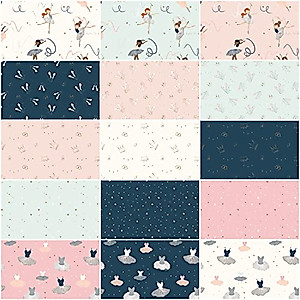 Spin & Twirl Rolie Polie 40 2.5-inch Strips Jelly Roll Riley Blake Designs RP-11610-40