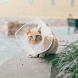 POPETPOP Compound Cone Collar Cat Neck Circle Surgery Recovery Collar Cat Neck Cone Dog Cone Pet Recovery Collar Pet Supply Pet Collars Cat -Licking Collar -Scratch PVC Neck Ring