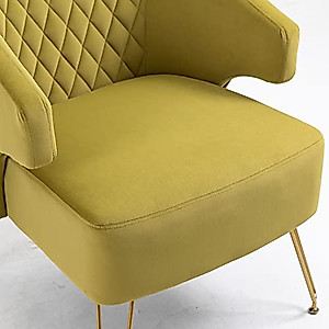 HOMEFUN Accent Chair for Living Room